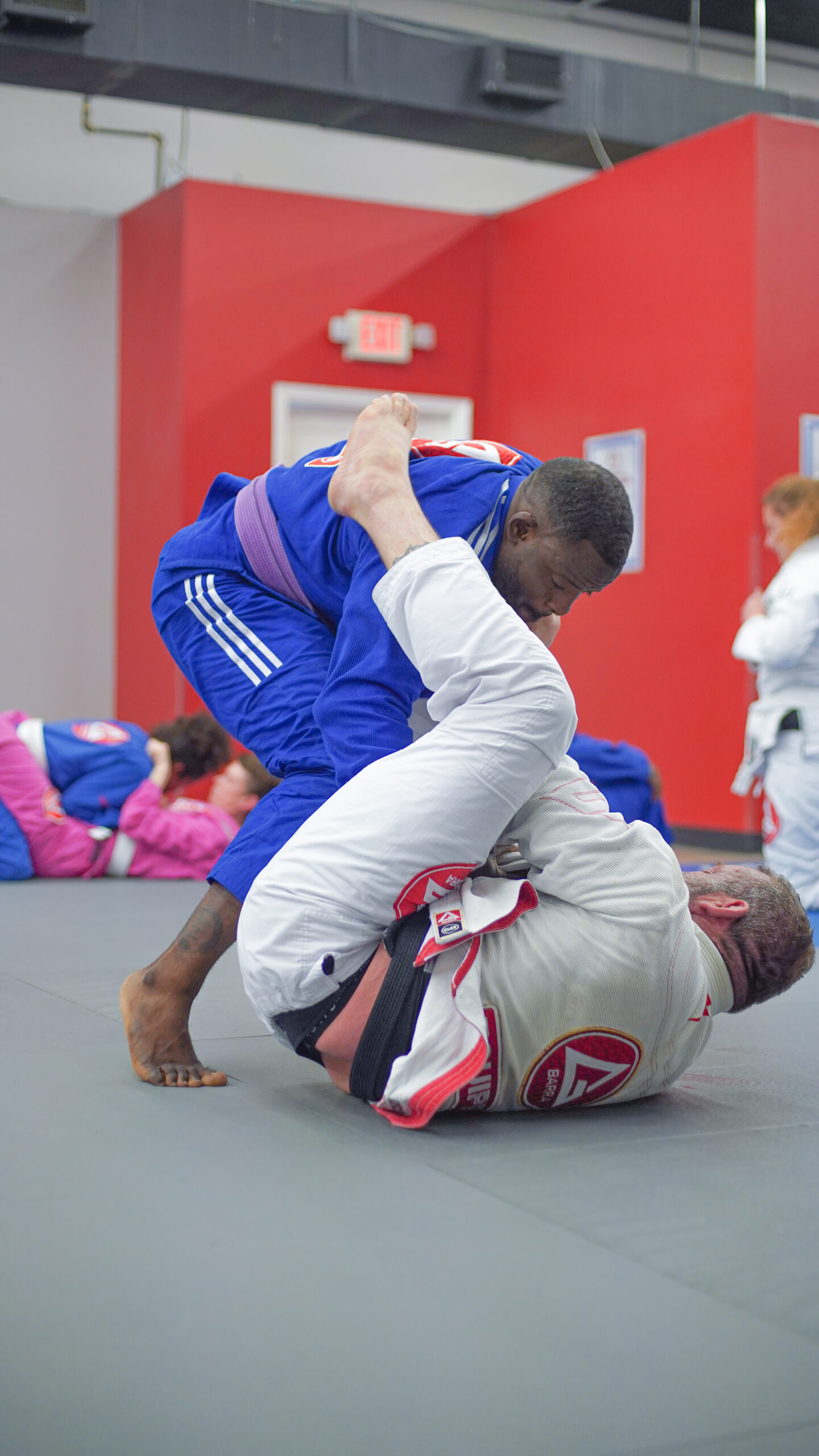 Champions BJJ – Brazilian jiu jitsu, kickboxing, boxing and mixed ...